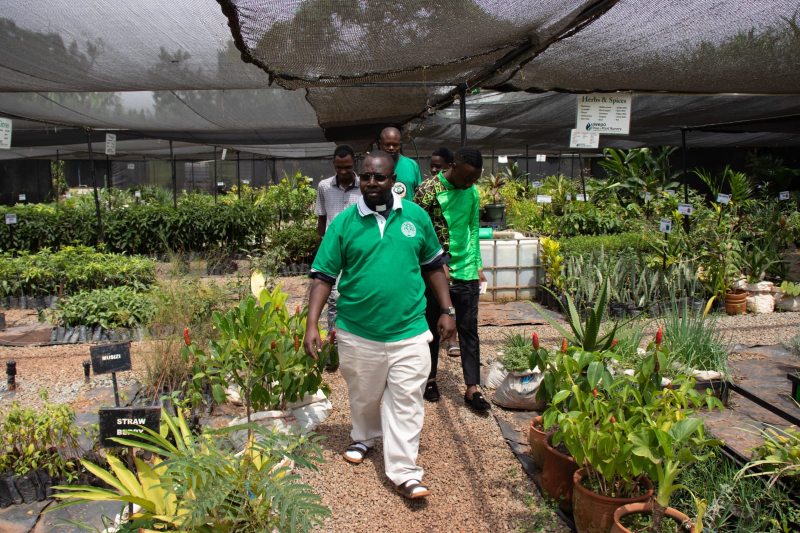 About Us - Laudato Youth Initiative